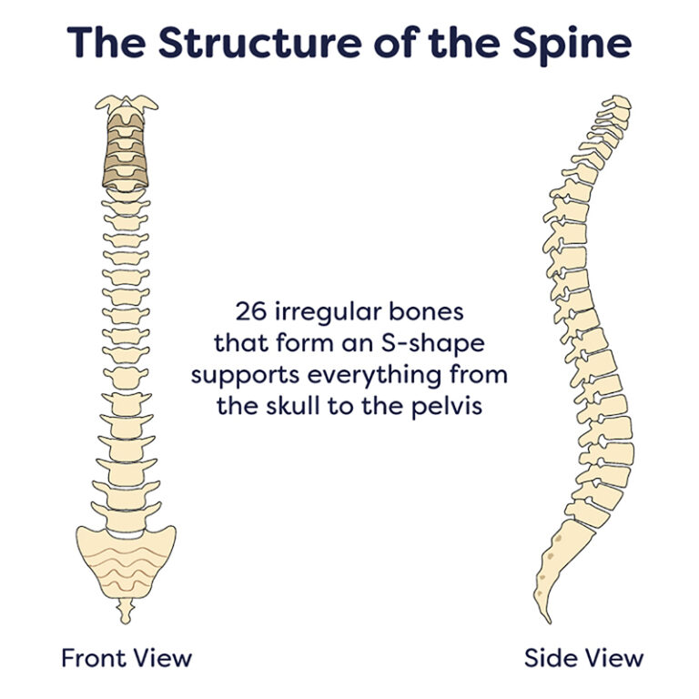 Spine - Premier Brain & Spine